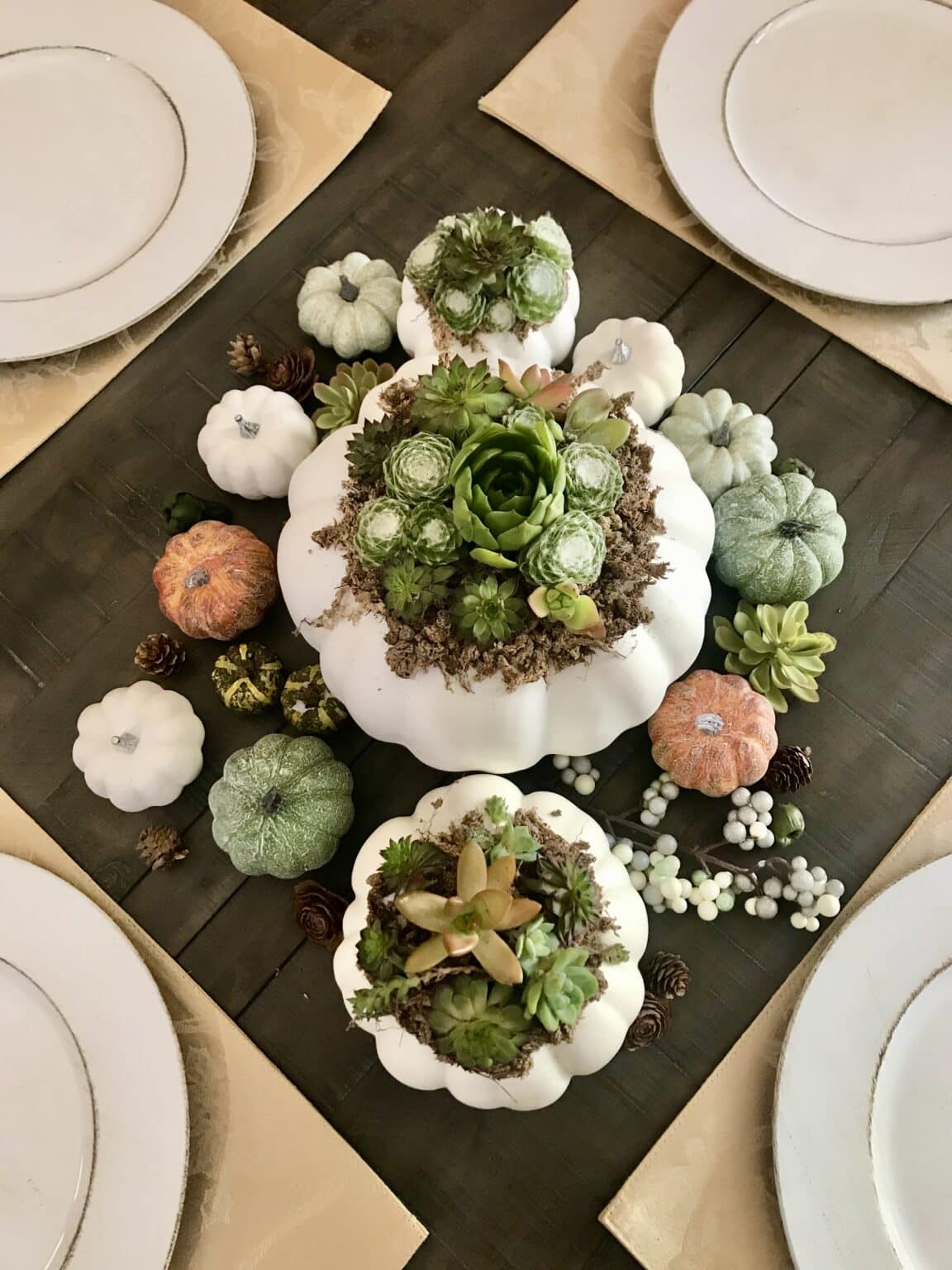 Succulent Pumpkins DIY Centerpiece for Fall – NATALIE LINDA