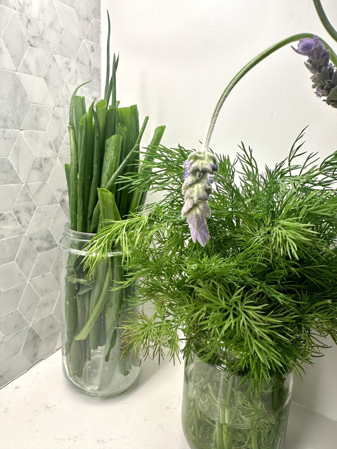 How to Keep Herbs Fresh in Water: A Guide to Kitchen Jar Gardens ...
